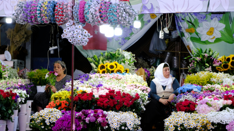 Are Turkish People Arabic?